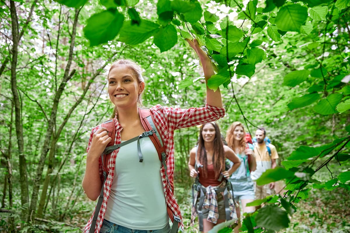 Qué es la terapia de entornos naturales y para qué sirve - Movida Sana