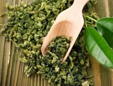 Té de ruda: propiedades y usos de una planta medicinal poderosa