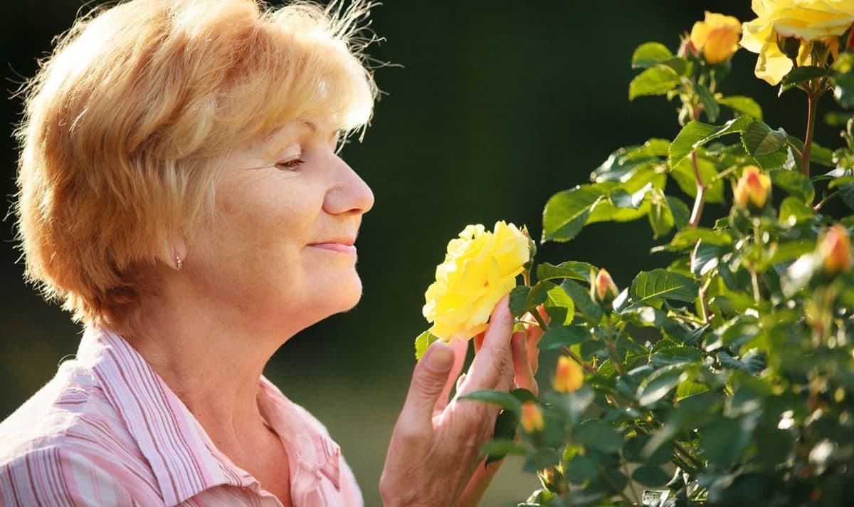 La ciencia explica por qué el olor está conectado a la memoria